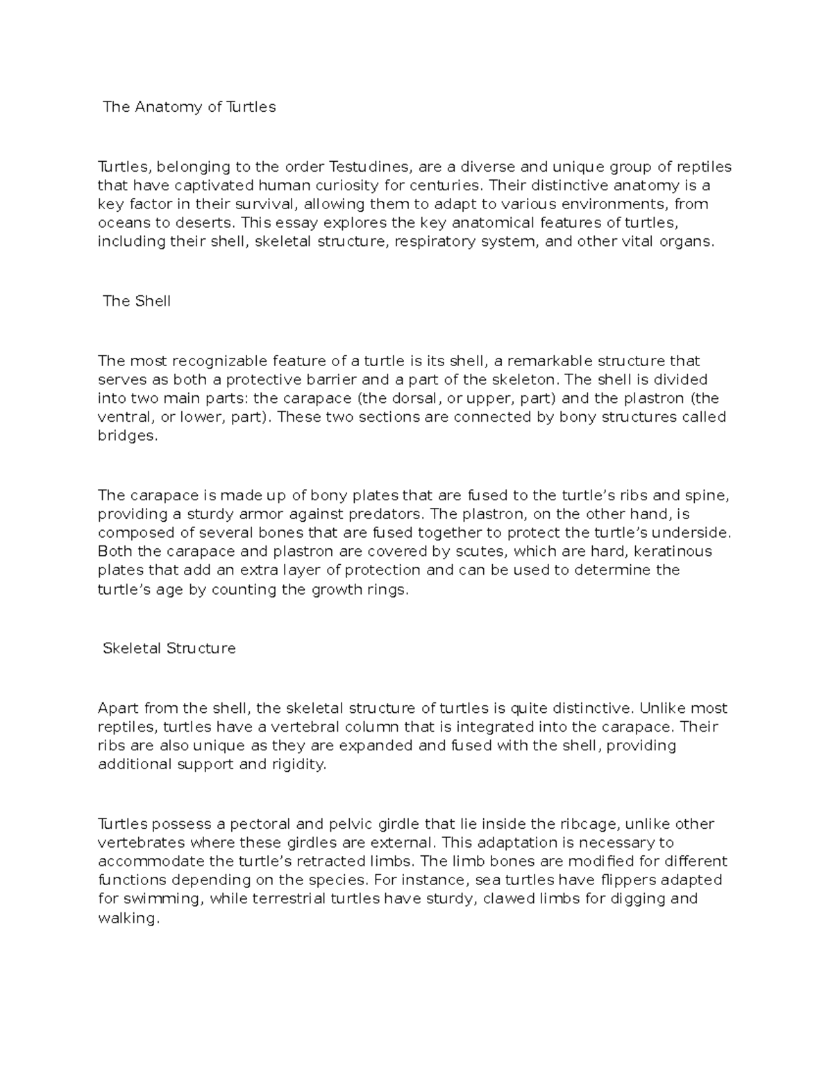 The Anatomy of Turtles - The Anatomy of Turtles Turtles, belonging to ...