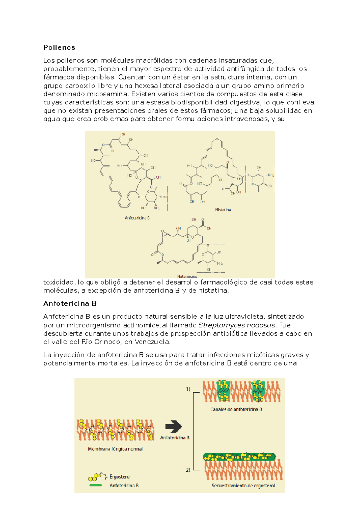 Polienos - Polienos Los polienos son moléculas macrólidas con cadenas ...