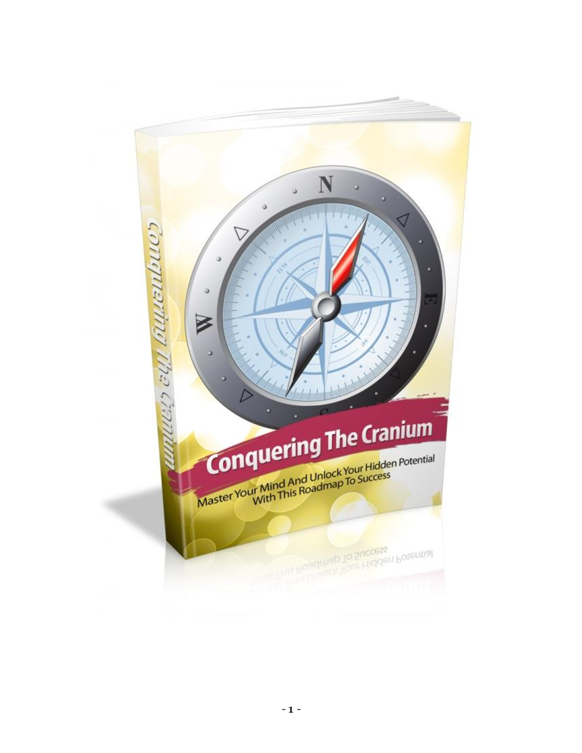 Conquering the Cranium - Terms and Conditions LEGAL NOTICE The Publisher has strived to be as ...