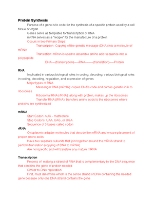 Chapter 2 Protein Synthesis - Chapter 2: Protein Synthesis Intro ...