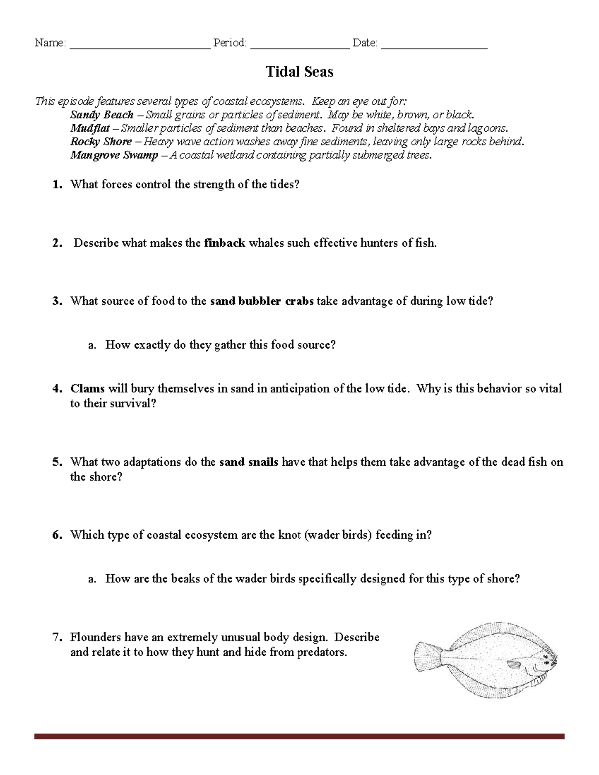 Blue Planet - Tidal Seas - Name: ________________________ Period ...