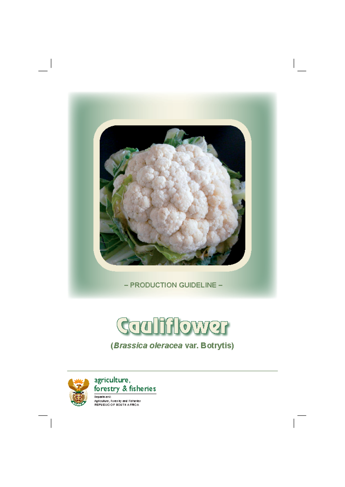 Production Guidelines Cauliflower - agriculture, forestry & fisheries ...
