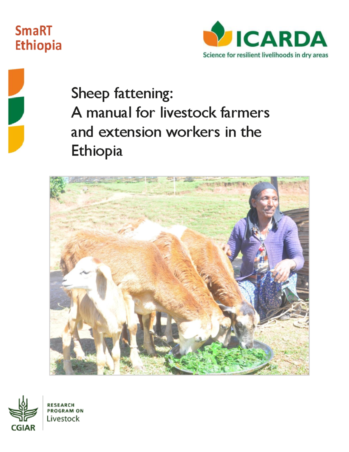 Icarda Sheep Fattening Manual JW Draft - Sheep fattening: A manual for ...