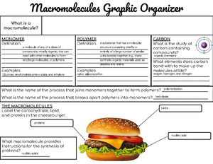 Cell Organelle Notes - ........... - Cell Organelle Graphic Organizer ...