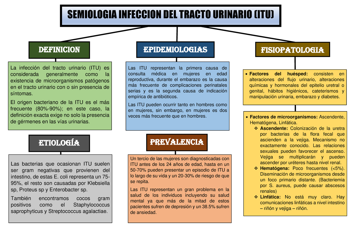 ITU MAPA Conceptual SEMIOLOGIA INFECCION DEL TRACTO URINARIO ITU La