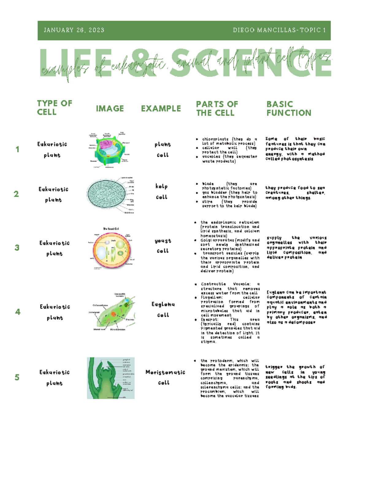 Trabajo LIFE AND Science 3 - ####### J A N U A R Y 2 6 , 2 0 2 3 D I E ...