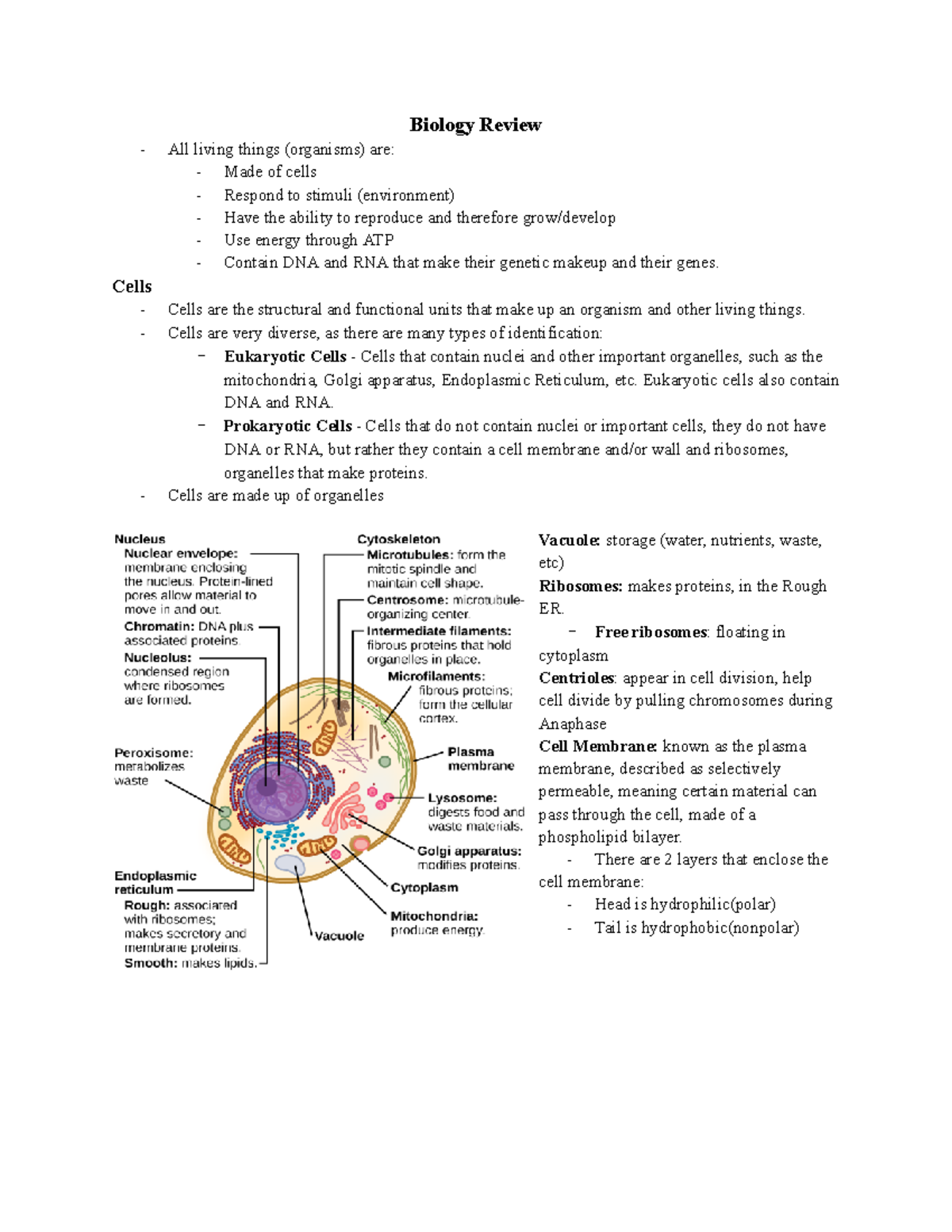 Human Anatomy and Physiology - Biology Review - All living things ...