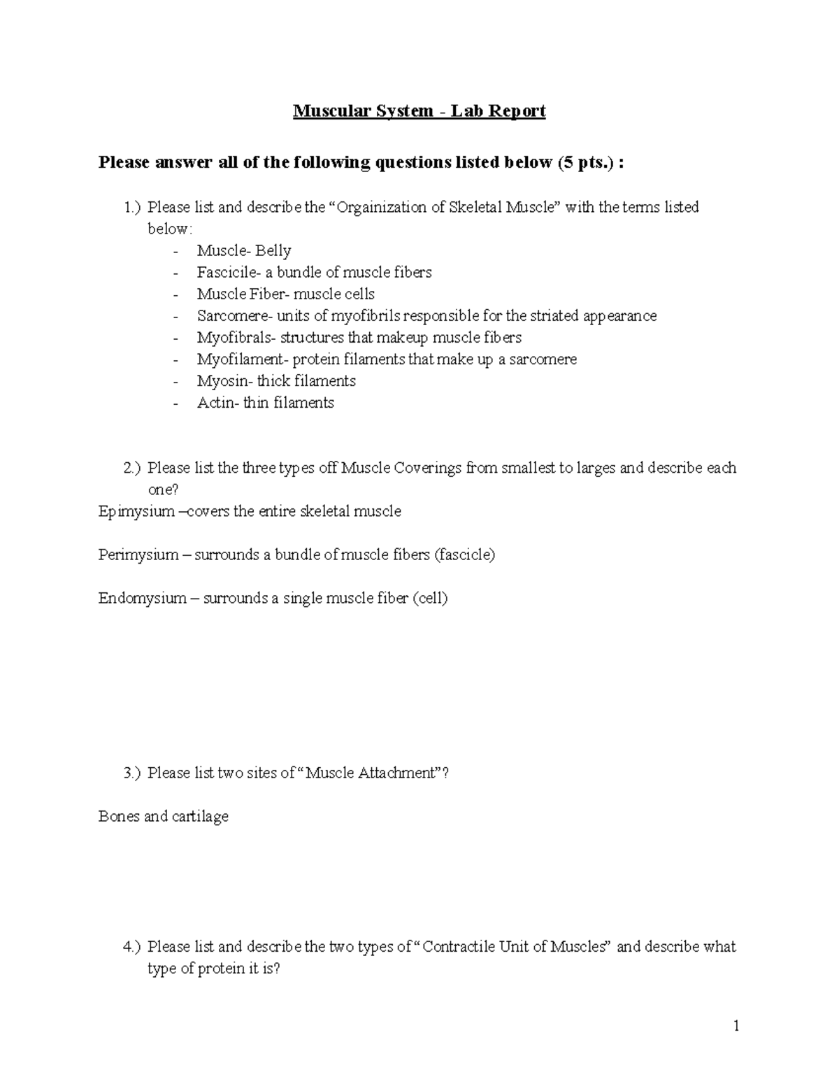 Muscular System - Lab Report - Muscular System - Lab Report Please ...