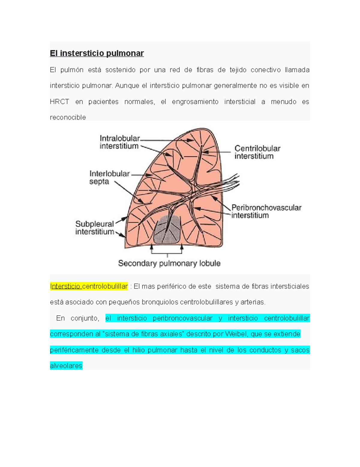 Resumen Anatomia Libro Tacar - El instersticio pulmonar El pulmón está ...