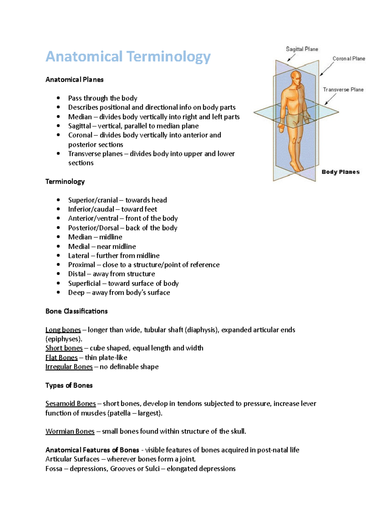 Anatomical Terminology - Anatomical Terminology Anatomical Planes Pass ...