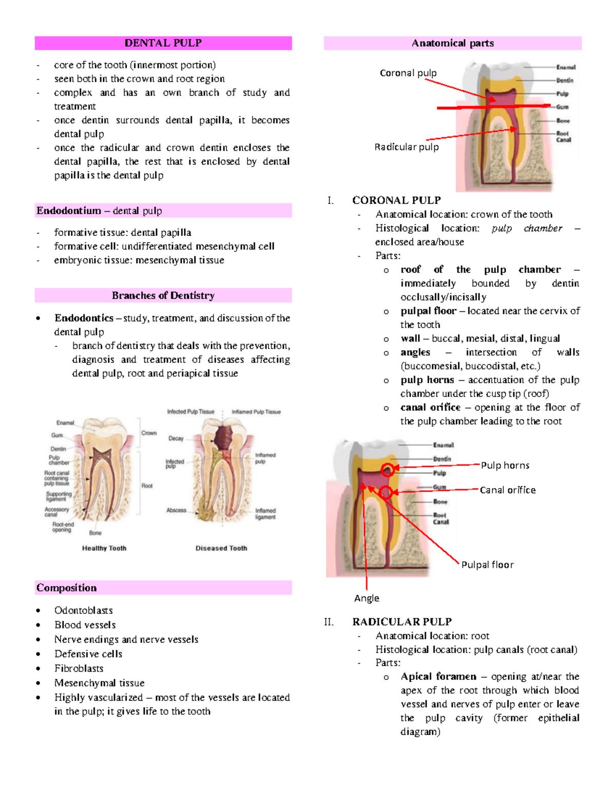 2-Dental-Pulp - Notes - DENTAL PULP core of the tooth (innermost ...
