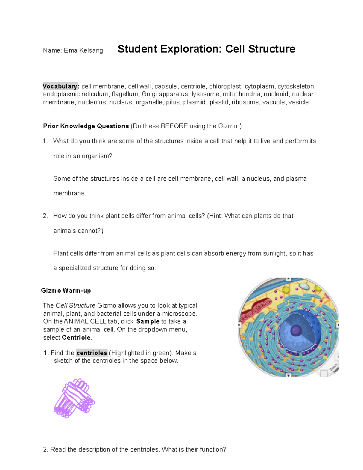 Cell Structure SE-2 - This is a - Name: Ema Kelsang Student Exploration ...