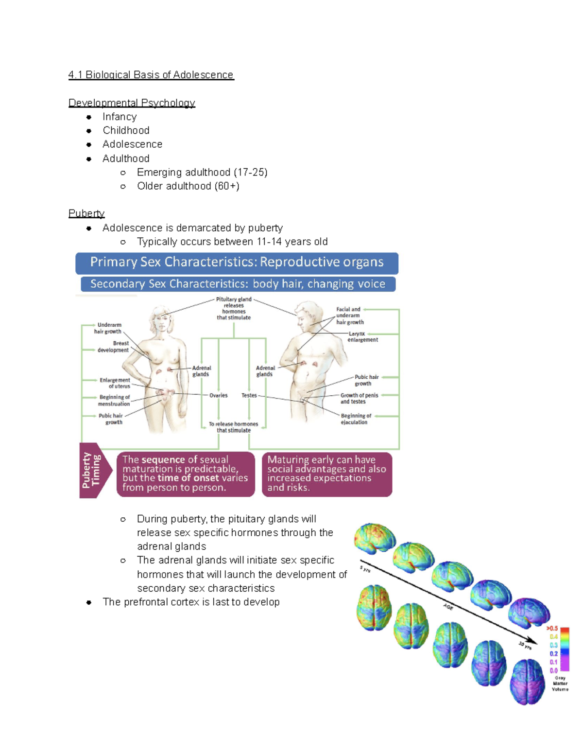 Week 4 - Human Development - Part II - 4 Biological Basis of Adolescence Developmental ...