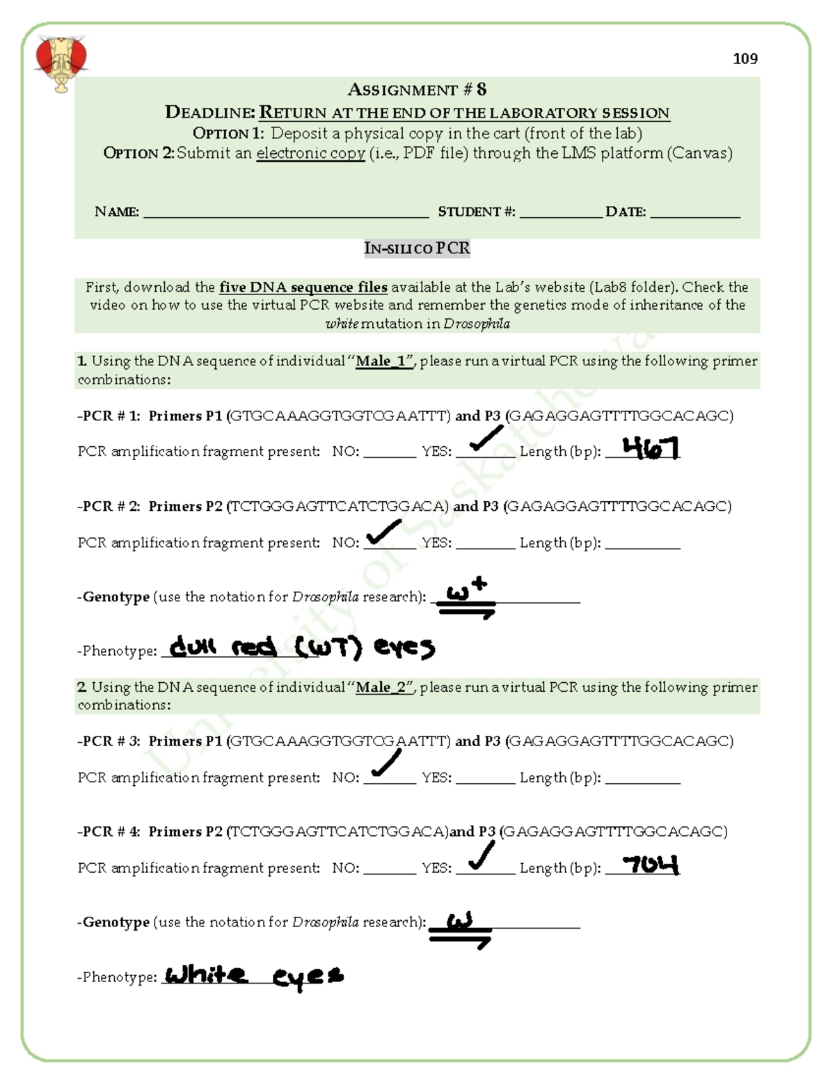 Biology Lab Assignment 8 PCR - Fall 2021 - ASSIGNMENT # 8 DEADLINE ...