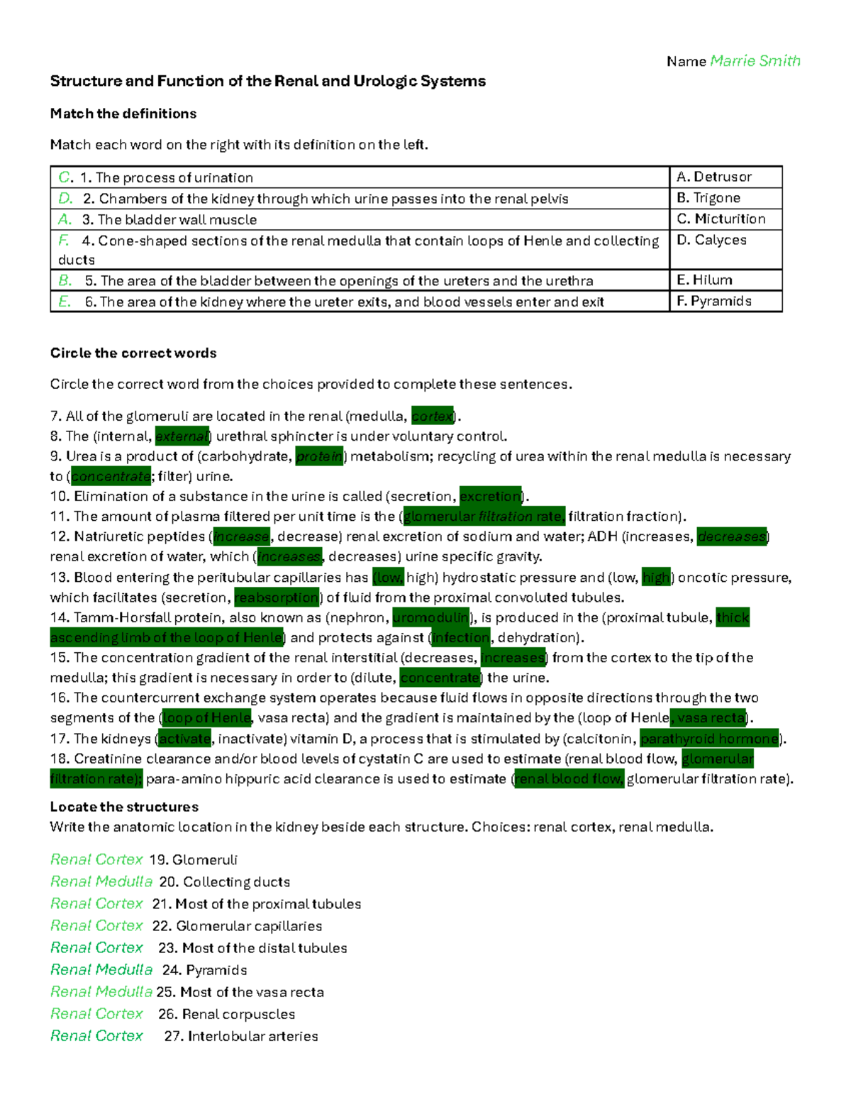 Completed Renal Urinary System Worksheet Student - Name Marrie Smith ...