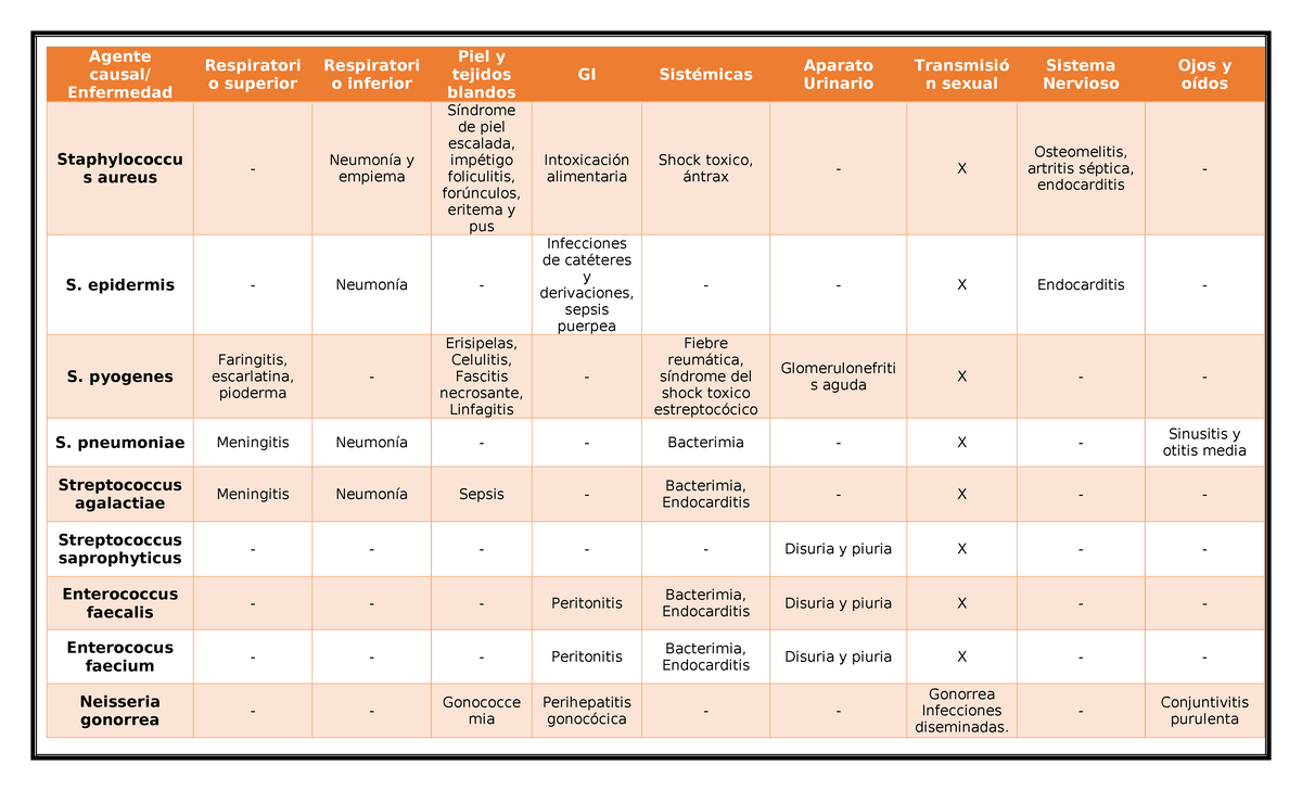 Enfermedades bacterianas Agentes causales y sus localizaciones - Agente ...