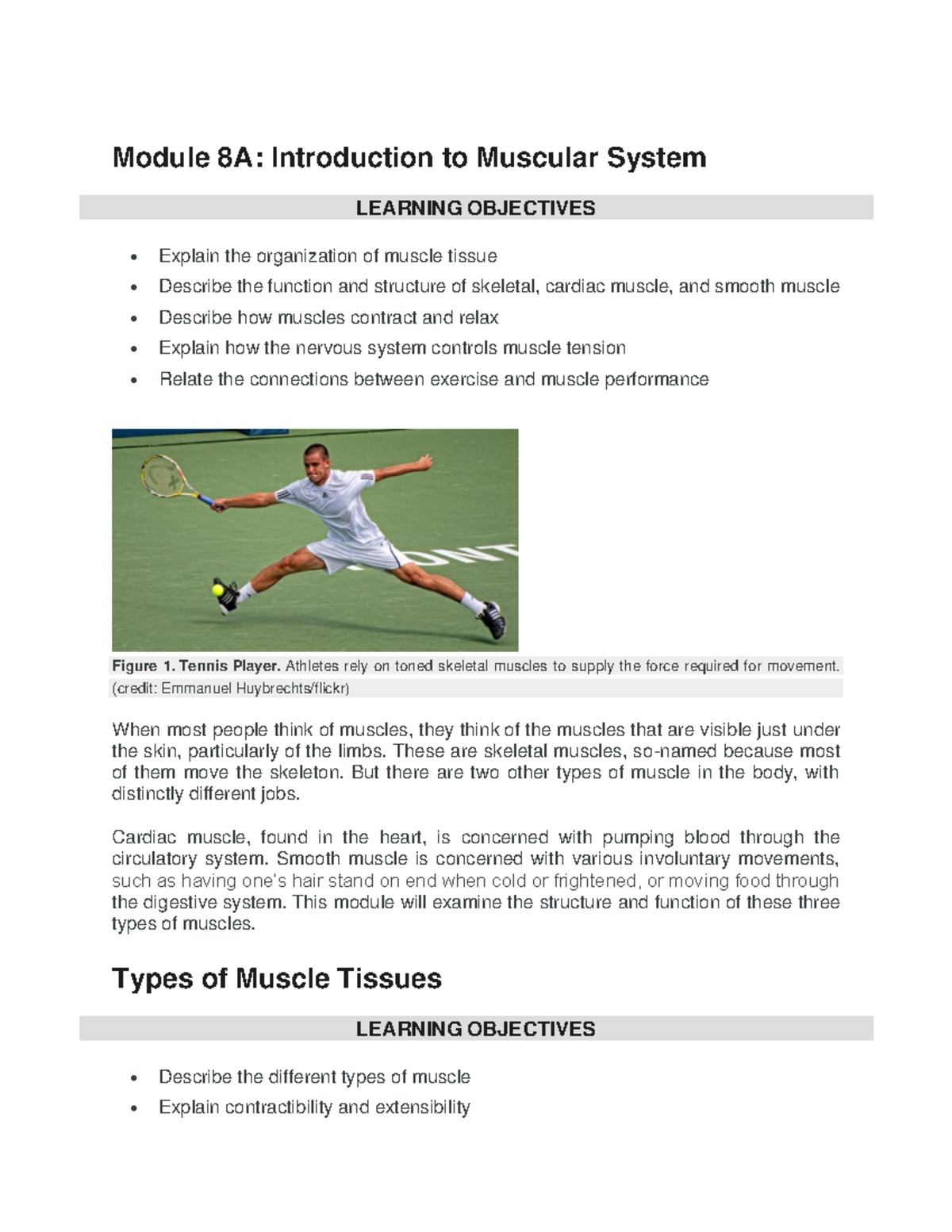 Module 8A- Intoduction to Muscular System - Module 8A: Introduction to ...