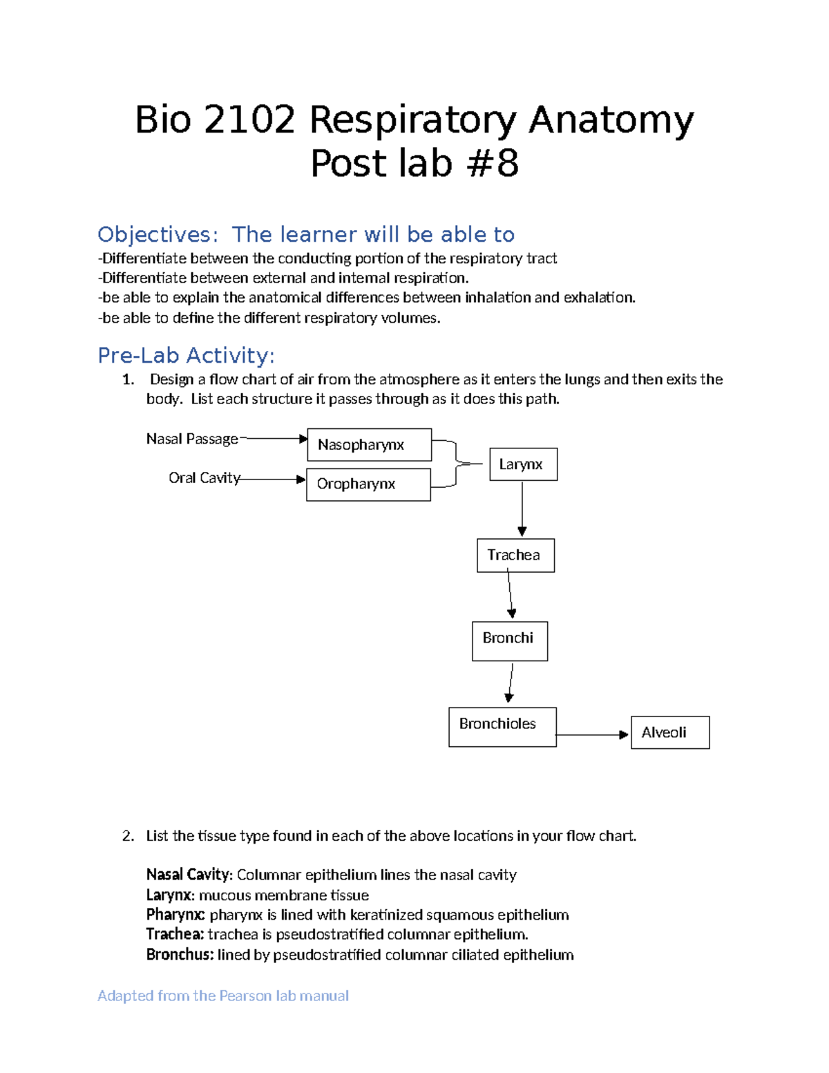Bio 2102 Respiratory Anatomy Post lab #8 - Bio 2102 Respiratory Anatomy ...
