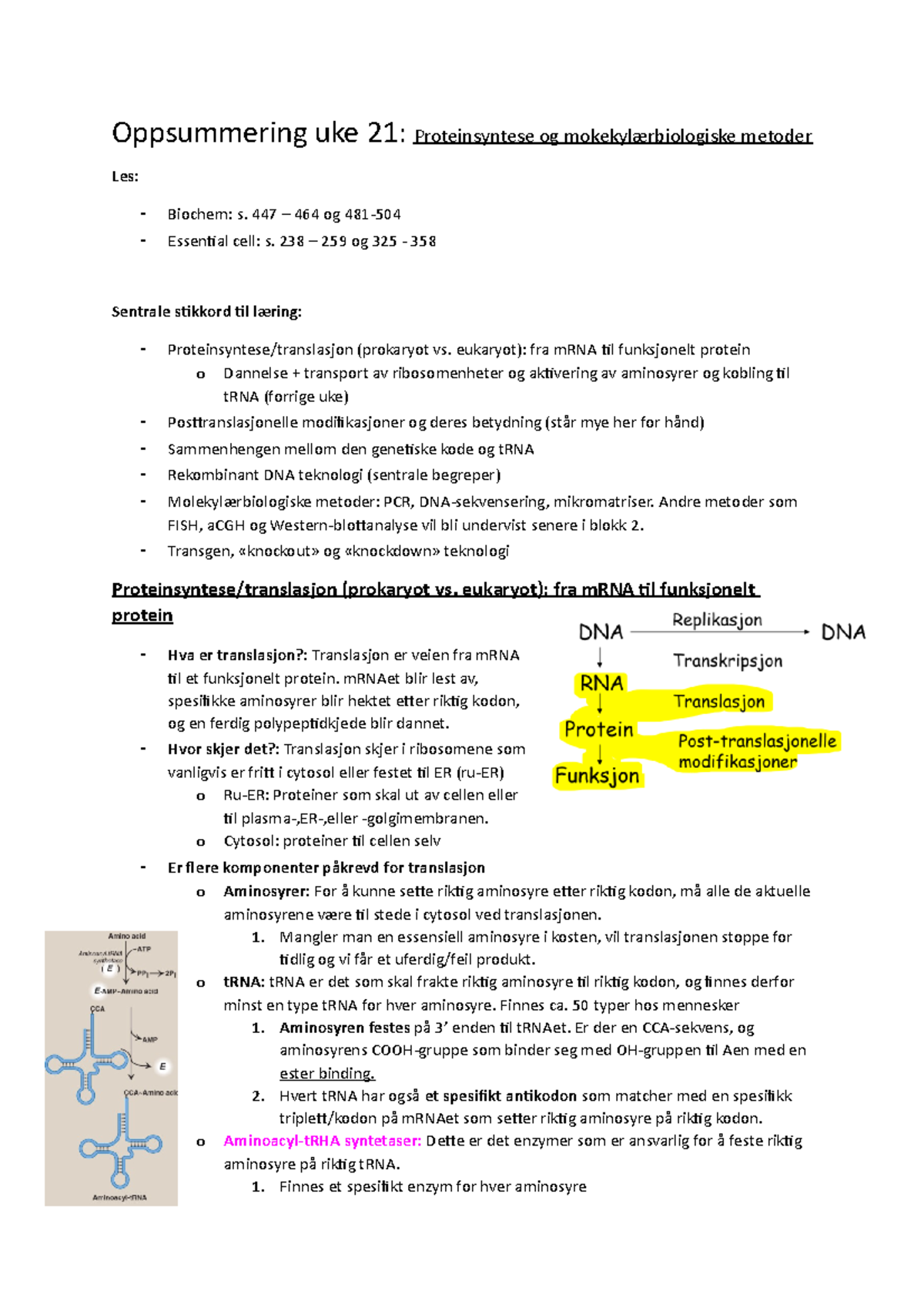 Oppsummering uke 21, moduluke 18 proteinsyntese og bioteknologiske ...