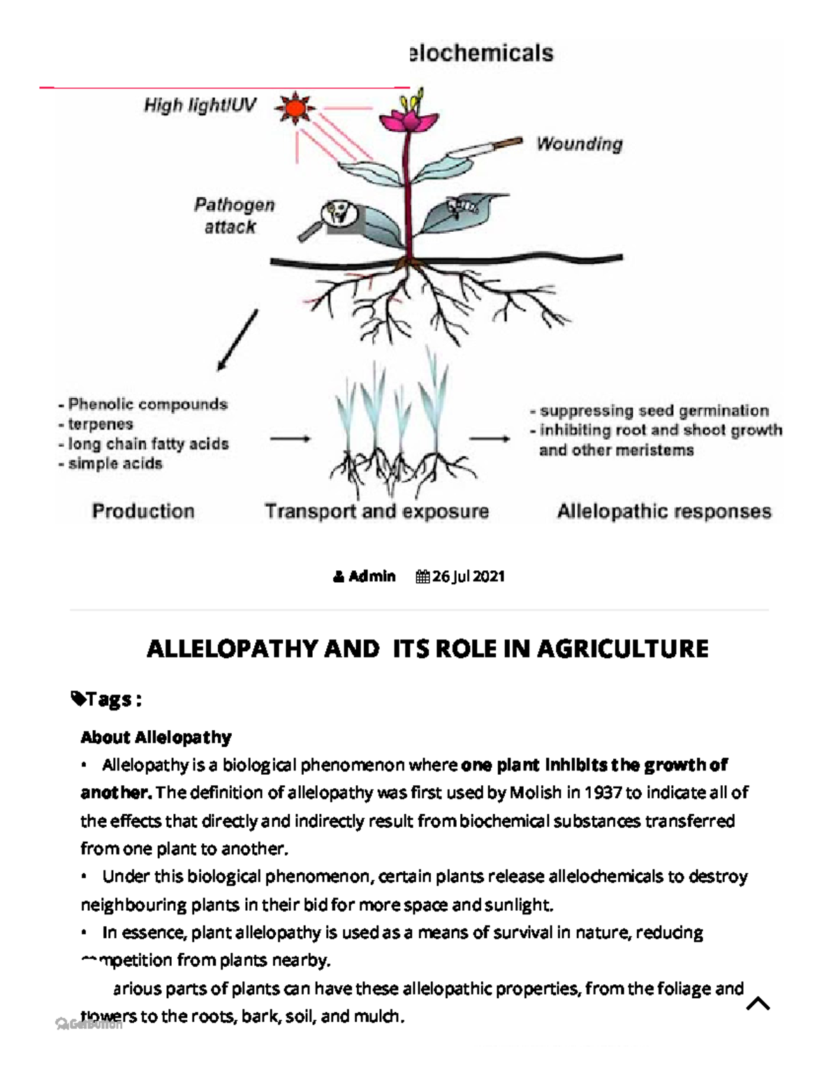 Allelopathy and its role in Agriculture - A d m in 26 J ul 2021 A ...
