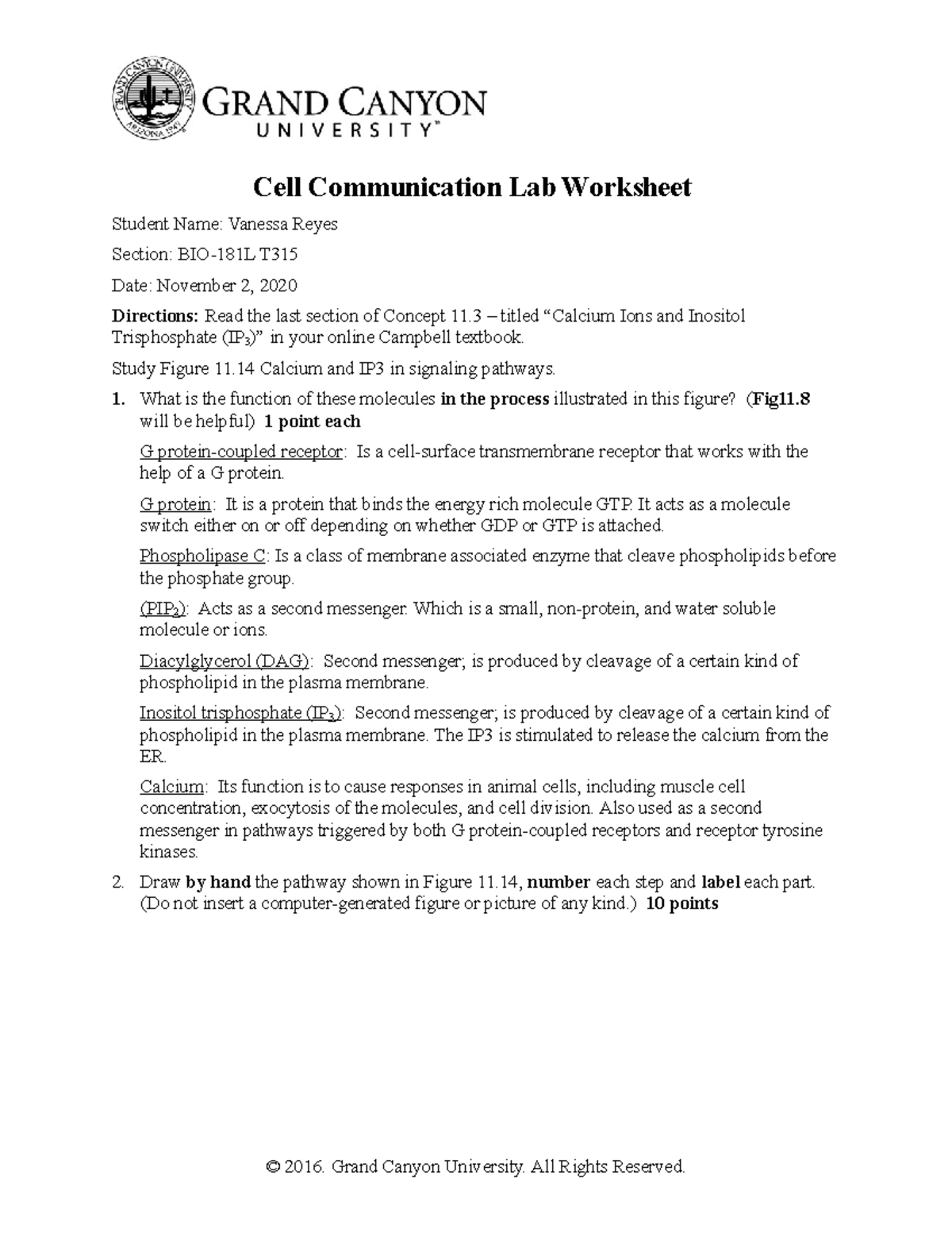 Cell Communication Lab Worksheet - Studocu