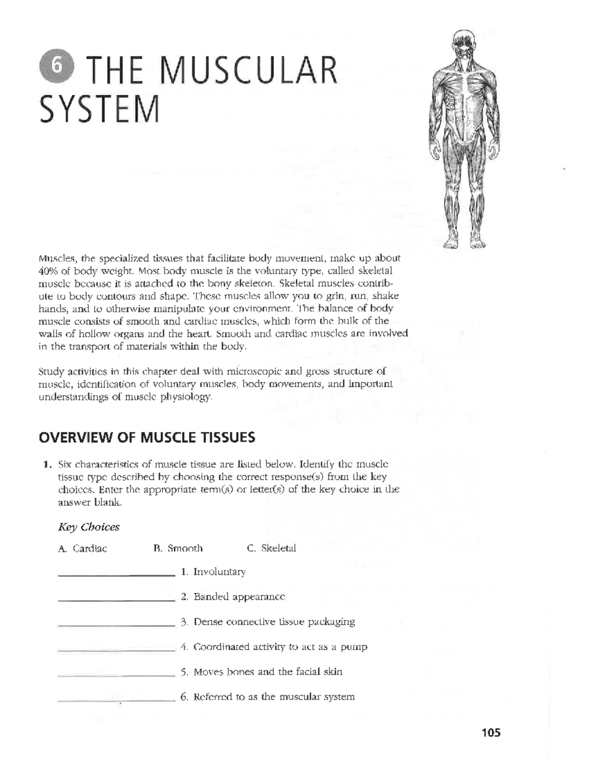 Muscular Worksheet - BIOL 1111(L) - Studocu