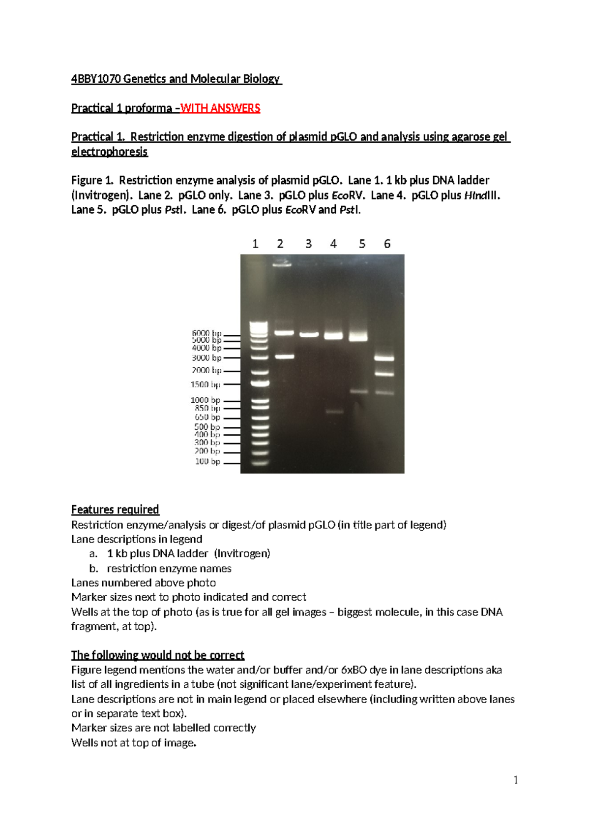 4BBY1070 Practical 1 Proforma - 4BBY1070 Genetics and Molecular Biology ...