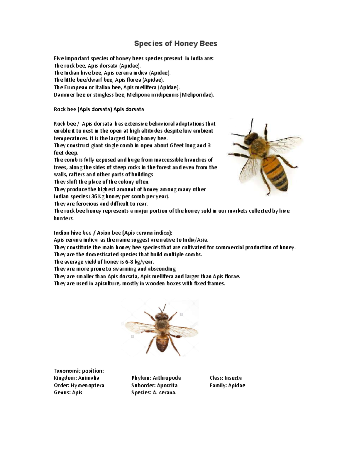Species of Honey bees - The Indian hive bee, Apis cerana indica (Apidae ...