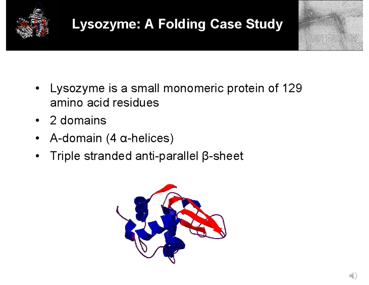 Wk 7 Video 5 slides - 1pp - Lysozyme: A Folding Case Study • Lysozyme ...