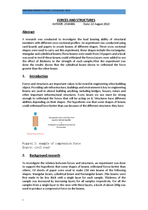 Report-compilation-guidelines-v1-FEBE - School of Electrical ...