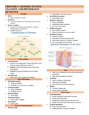 Bullets in medical surgical nursing - MEDICAL – SURGICAL NURSING ...