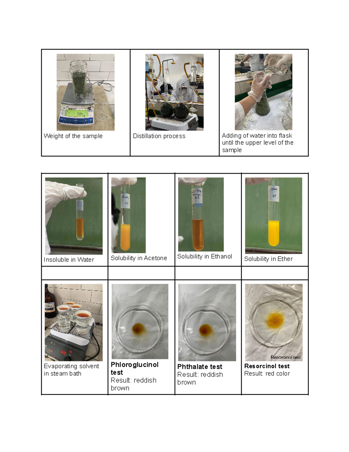Untitled document - laboratory worksheet - Pharmacognosy - Weight of ...
