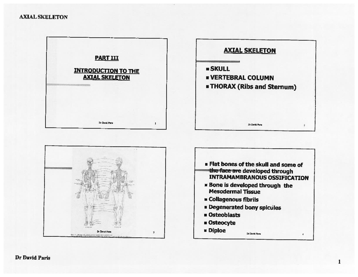 Axial Skeleton Notes - Lecture - EXCI 253 - Studocu