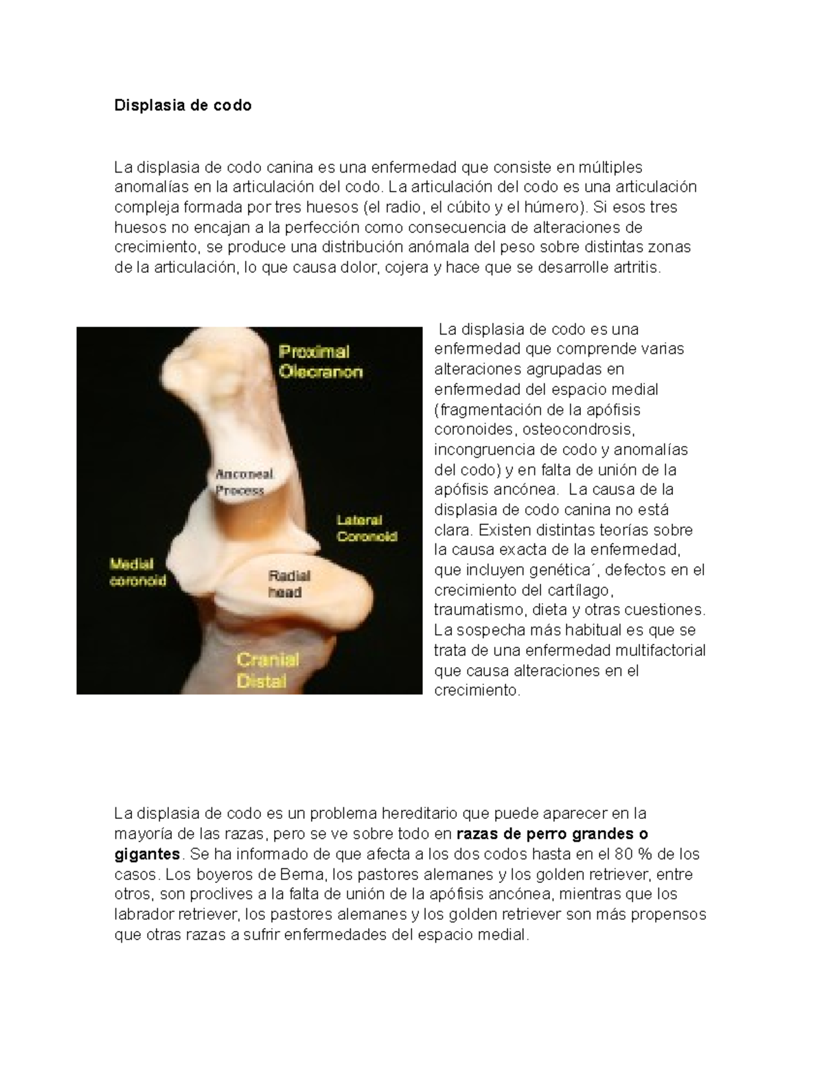 Displasia de Codo - Enfermedades Geneticas - Genética animal - UCC ...