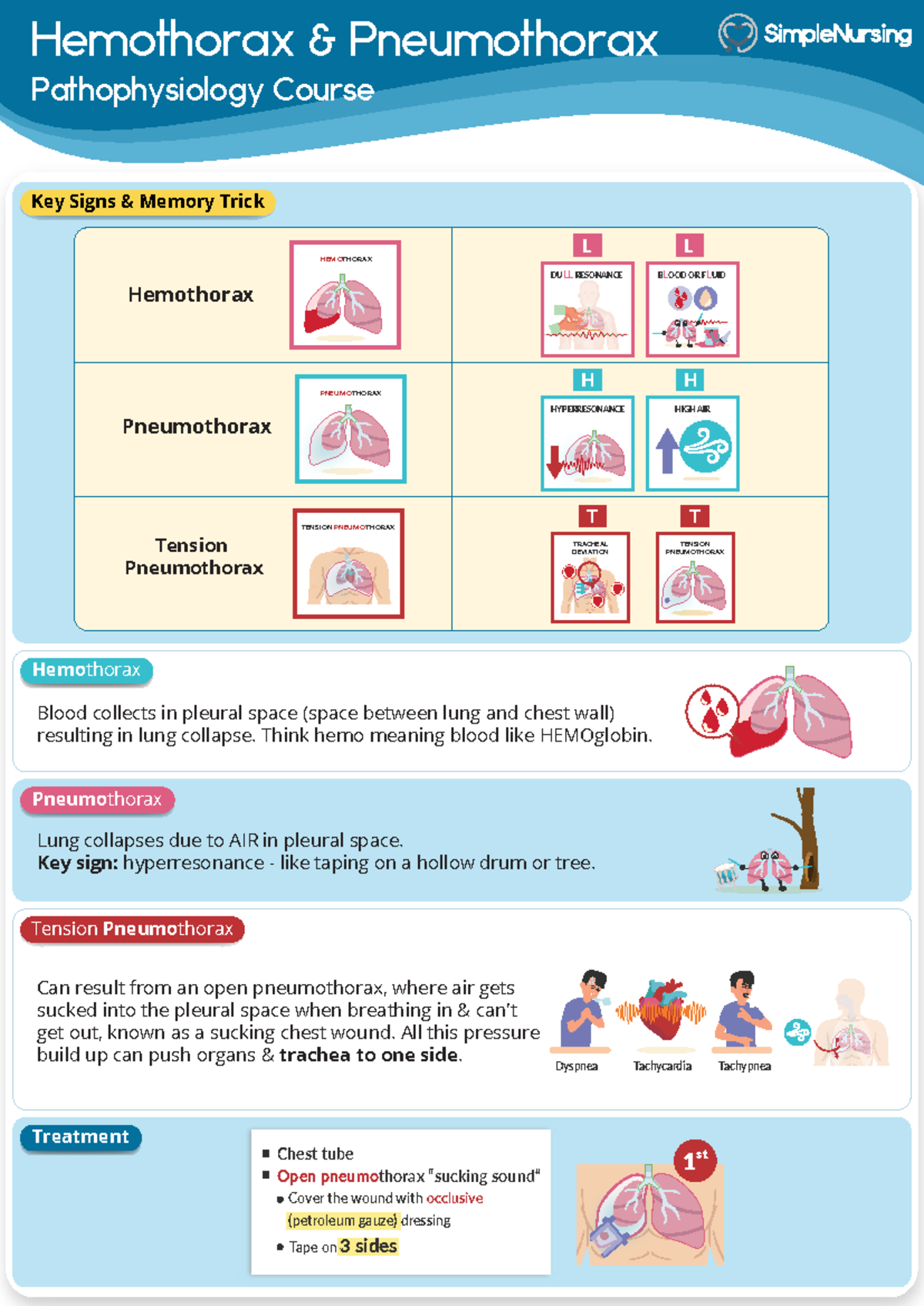 Patho - Respiratory - Hemothorax Pneumothorax - Hemothorax ...
