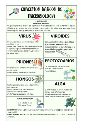 Etapas DEL Proceso Infeccioso - ETAPAS DEL PROCESO INFECCIOSO ...