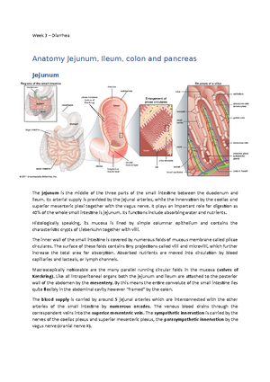 Anatomie college 1 - College anatomie 26-03- Mondholte, keel ...