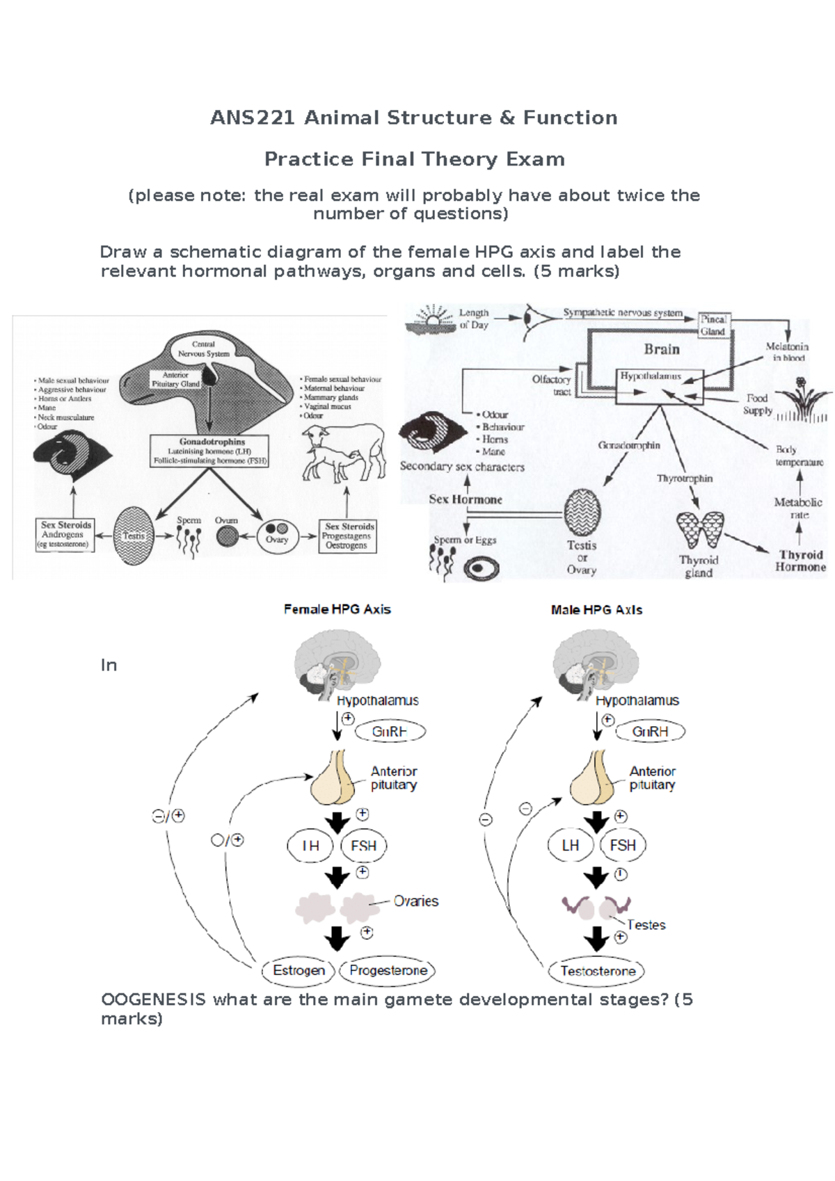 ANS221 2021 Practice Exam - ANS221 Animal Structure & Function Practice ...