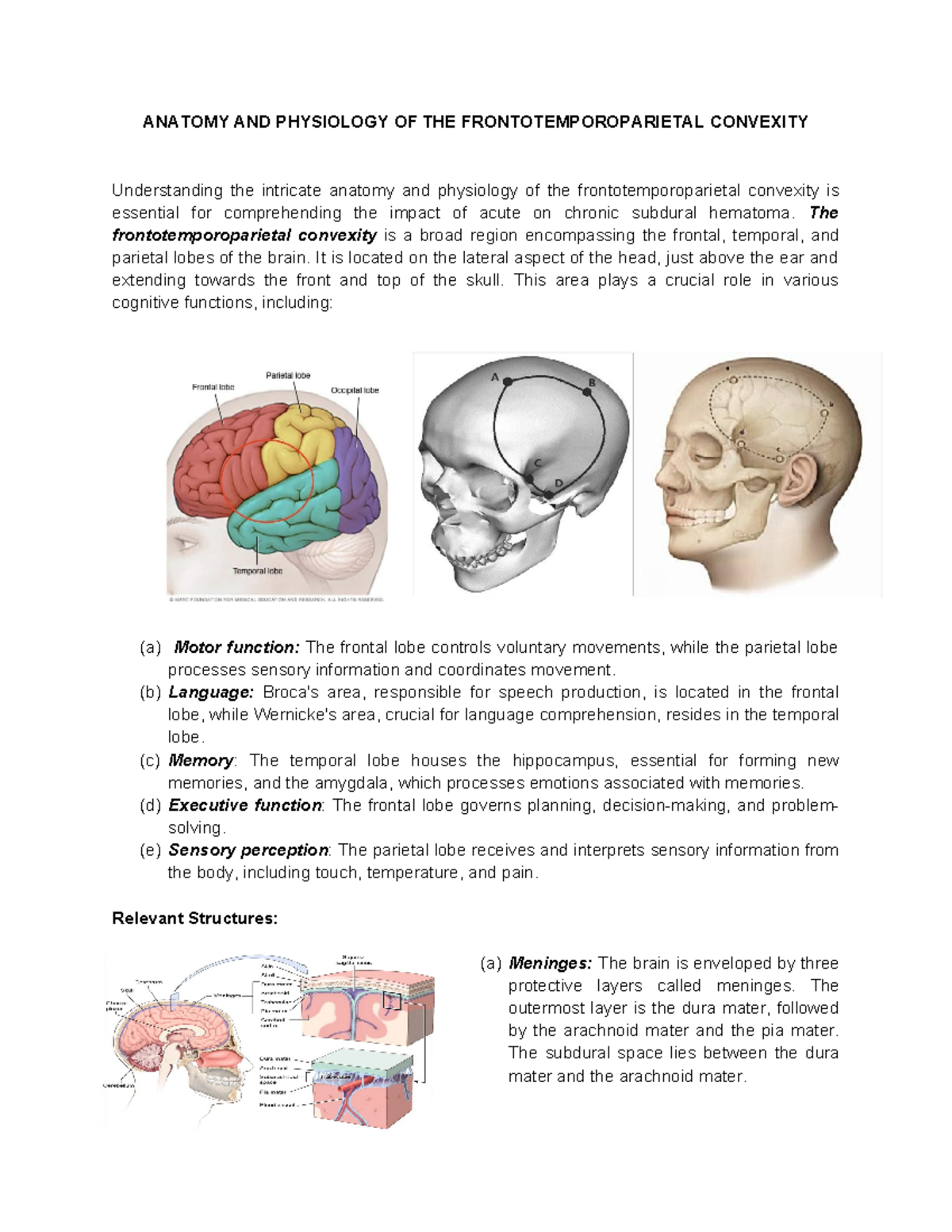 Anatomy and Physiology of the Frontotemporoparietal Convexity - The ...