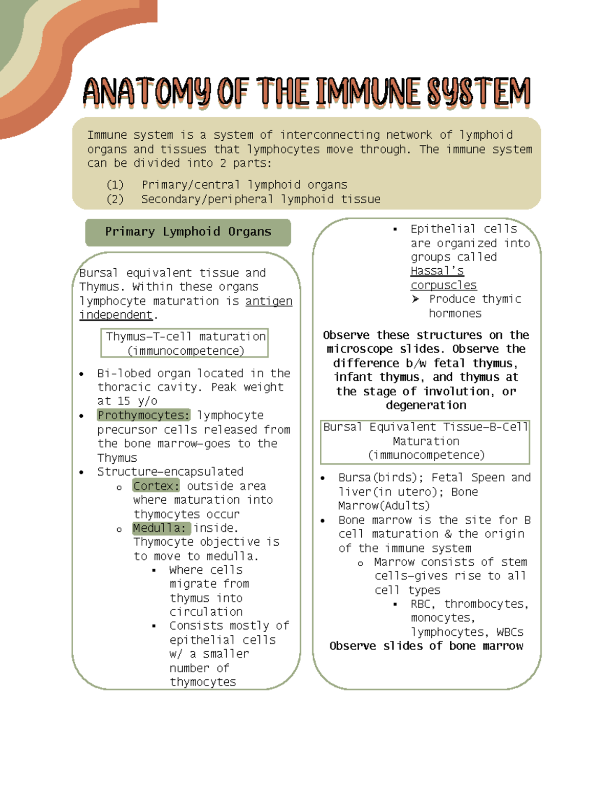 Immunology Lab- Anatomy of Immune system - Anatomy of the immune system ...