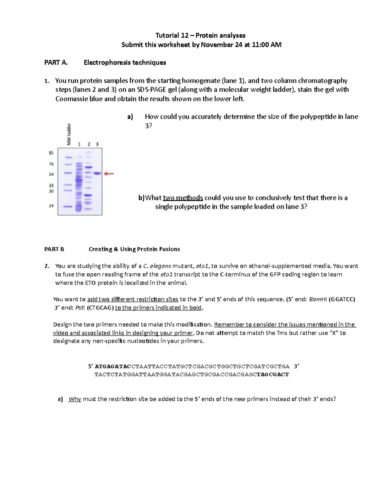 Week 12 worksheet - Tutorial 12 – Protein analyses Submit this ...