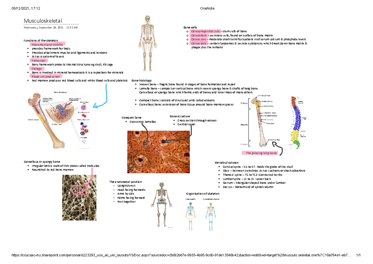 Introduction to the Musculoskeletal System - 05/12/2021, 17:12 OneNote ...