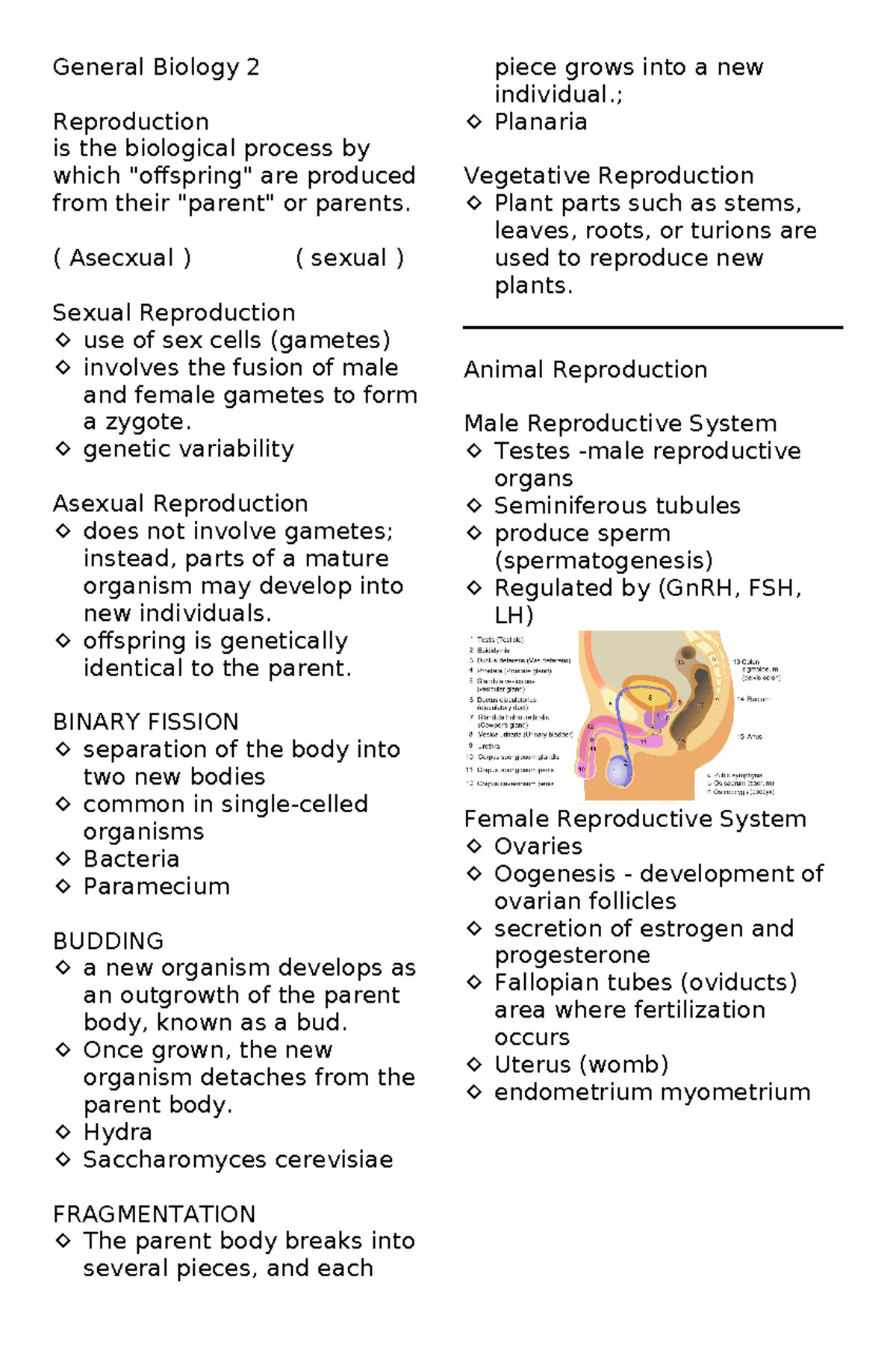 Genbio lesson 1 - nsfbhsbdhfbwhsdf - General Biology 2 Reproduction is ...