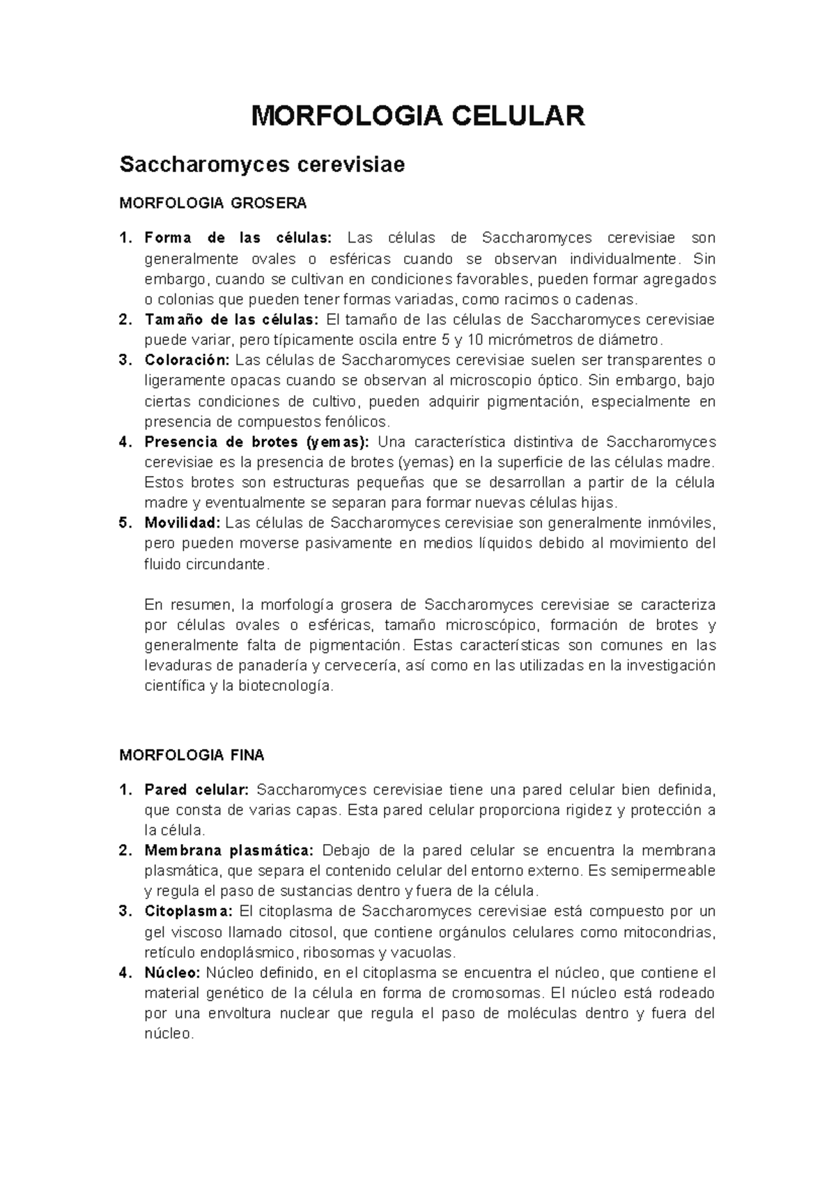 Morfologia Celular - MORFOLOGIA CELULAR Saccharomyces cerevisiae MORFOLOGIA GROSERA Forma de las ...