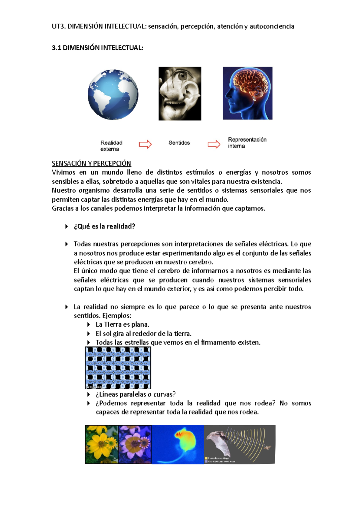 UT3. Dimensión Intelectual - introducción a la psicologia - 3 DIMENSIÓN ...