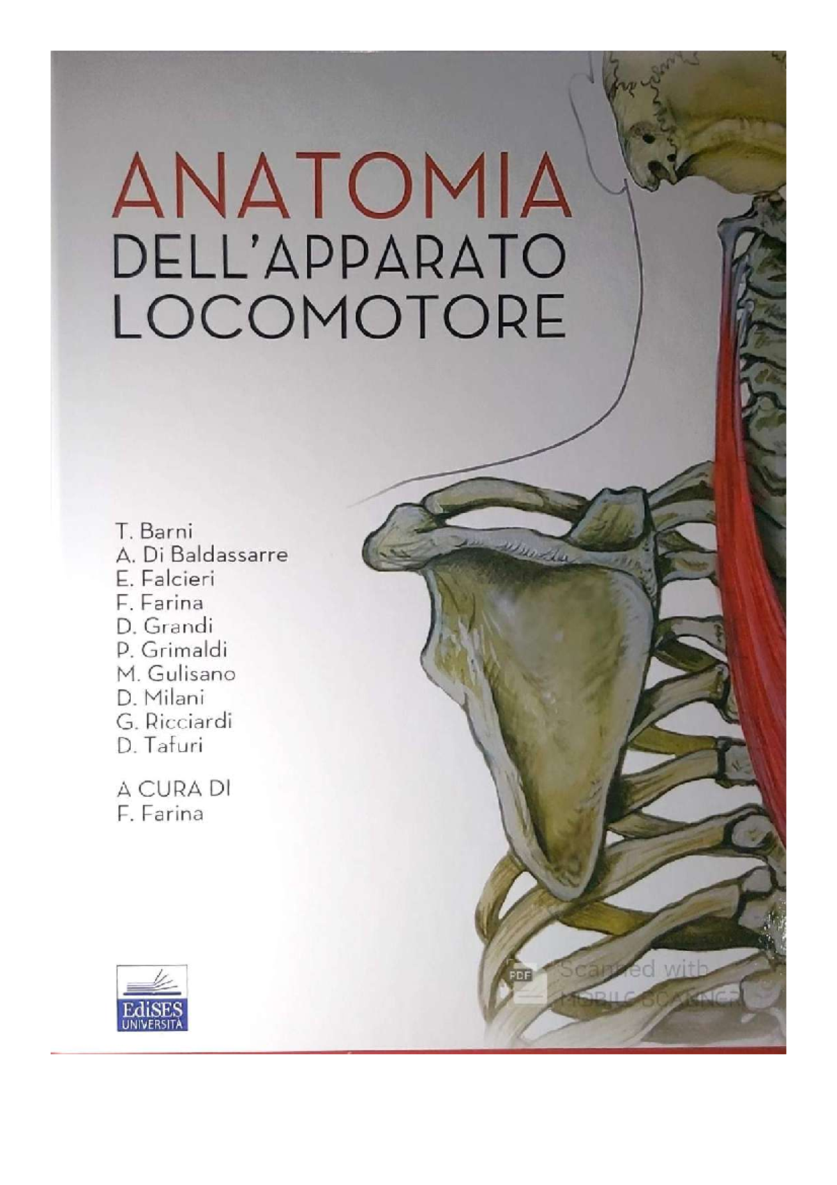 Libro - Anatomia dell apparato locomotore - Farina - Anatomia Umana ...