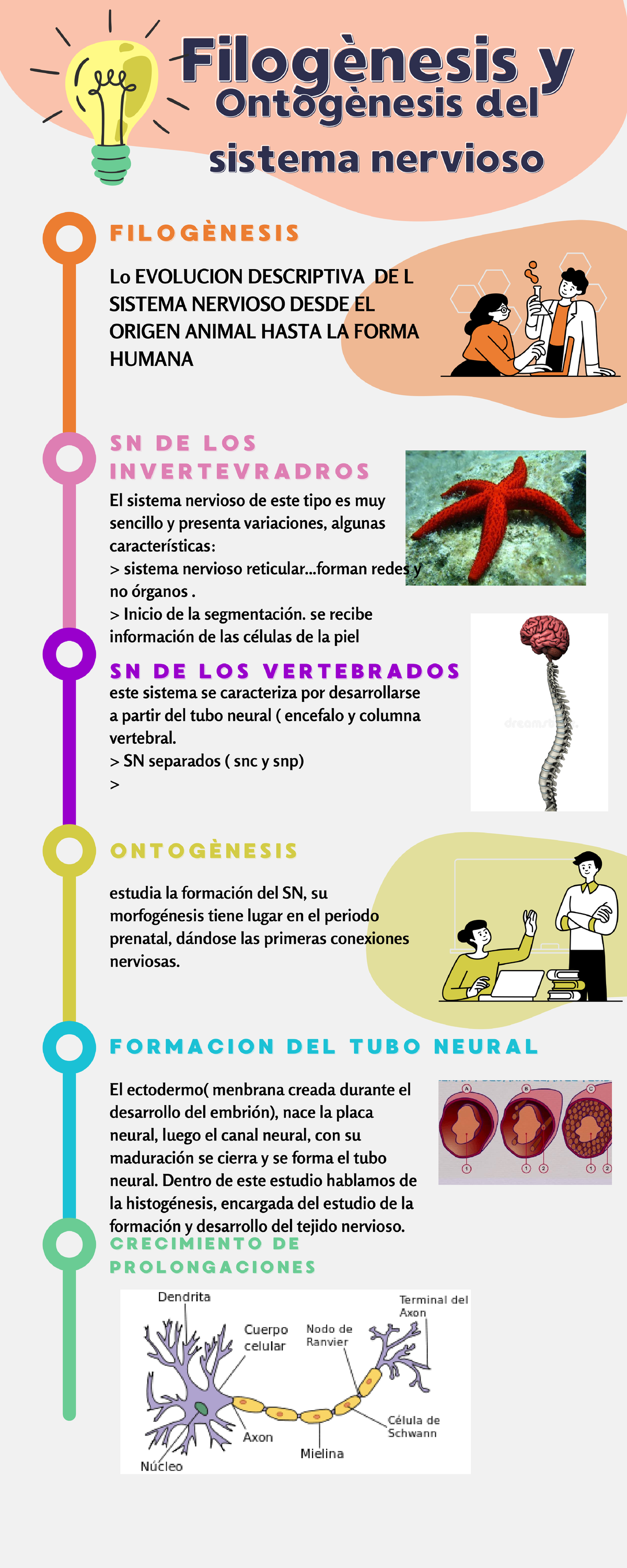 Filogènesis-Ontogenesis - Bases Biológicas del comportamiento - UTP ...