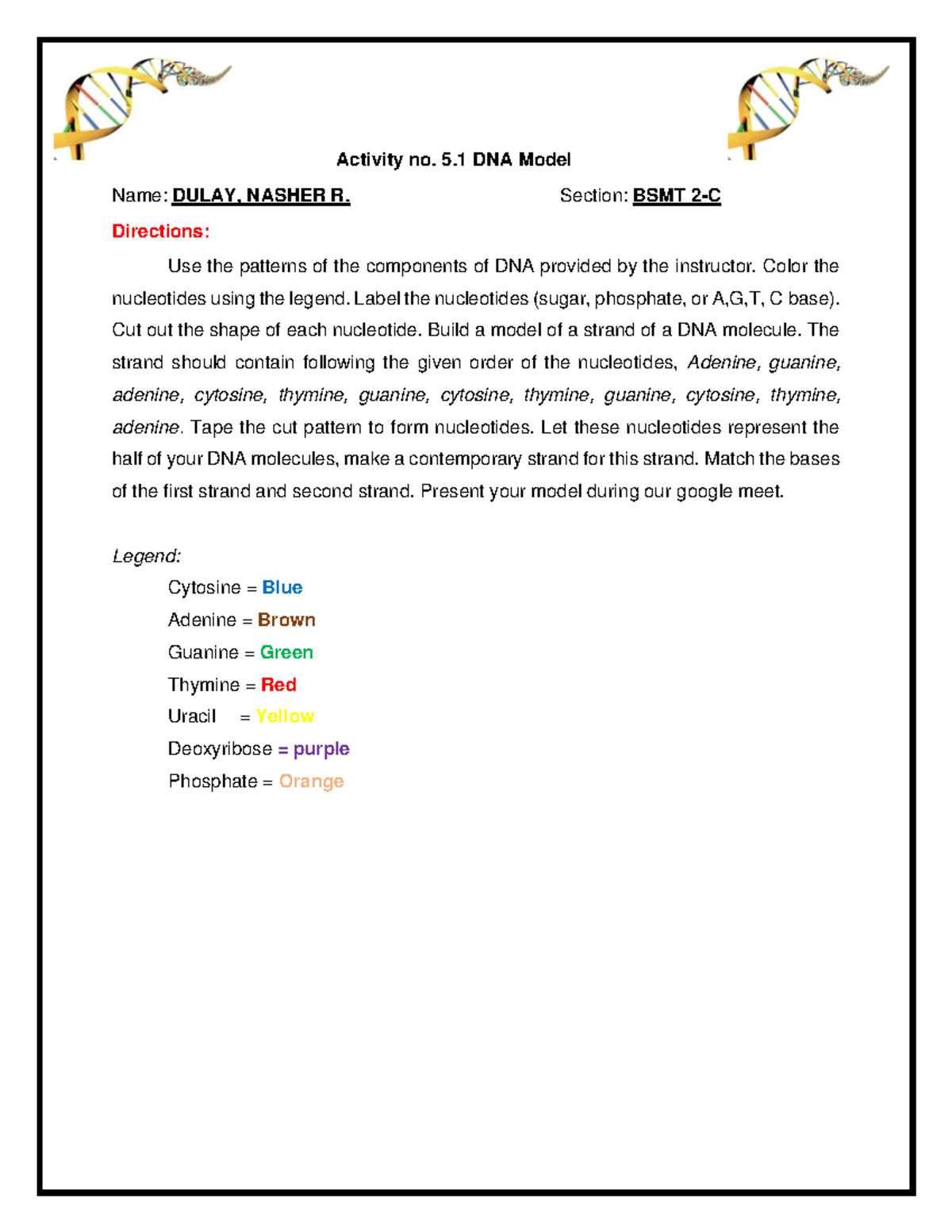 Activity no. 5.1 DNA Model - Activity no. 5 DNA Model Name: DULAY ...