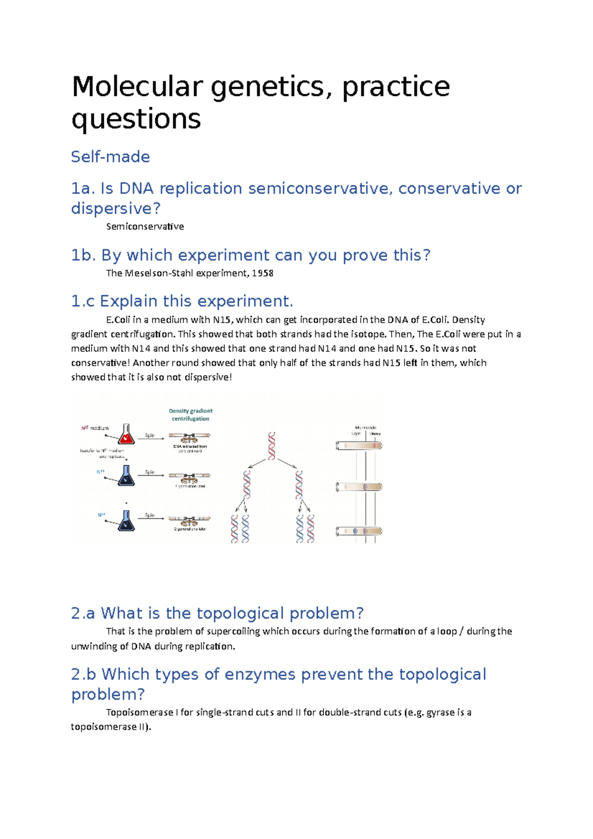 Molecular Genetics practice questions - RUG - Studeersnel
