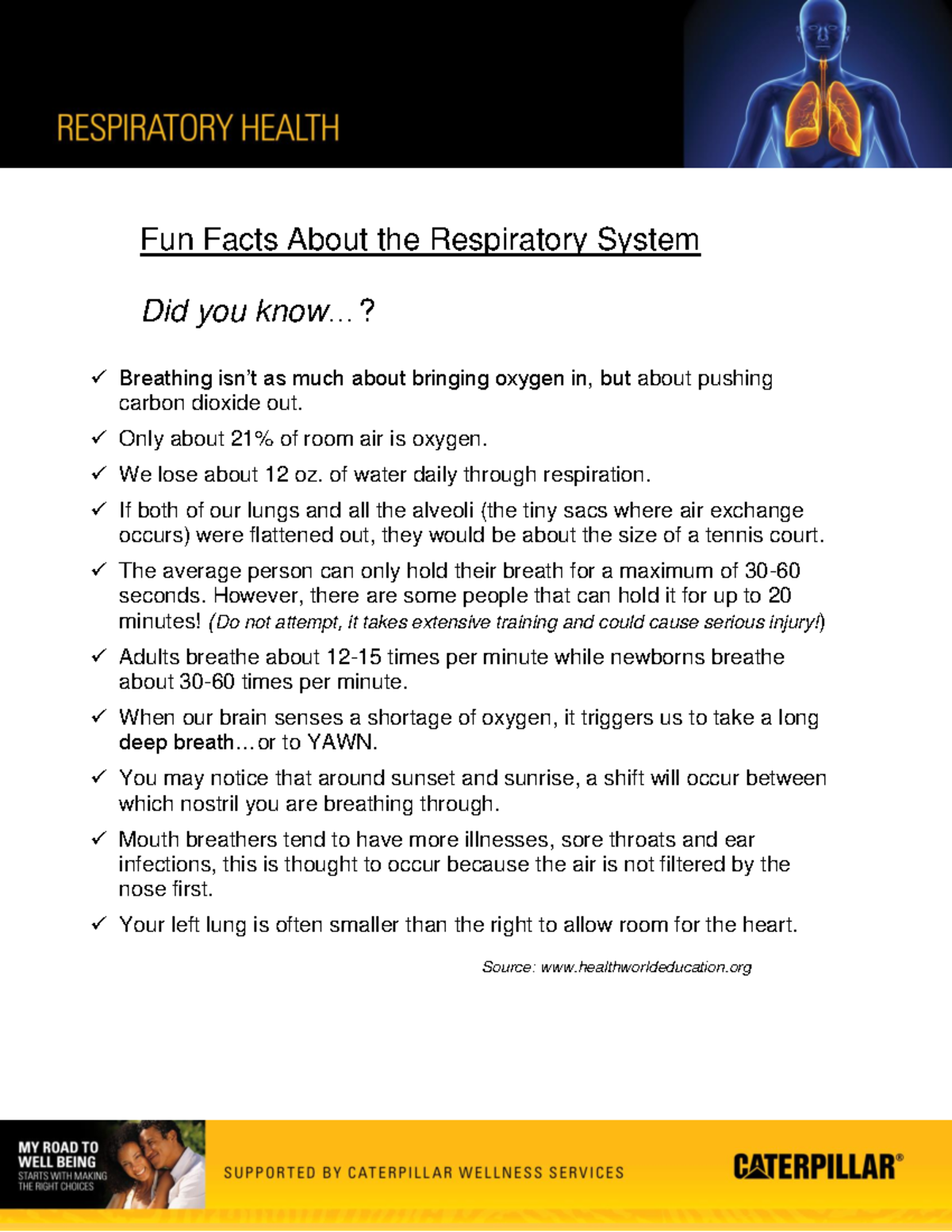Respiratory funfacts - Fun Facts About the Respiratory System Did you ...